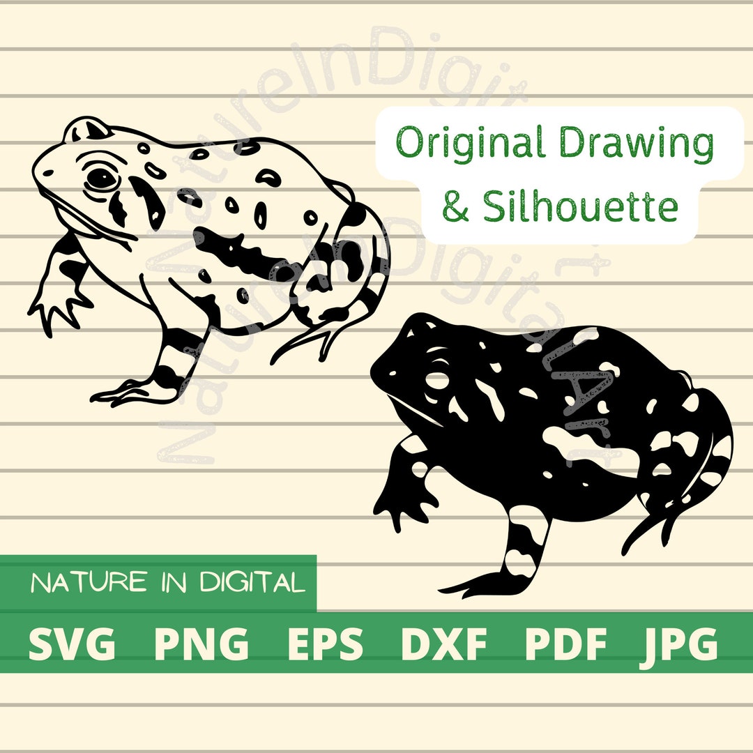 American Toad Bundle Cut Files, Hand Drawn Toad and Toad Silhouette ...