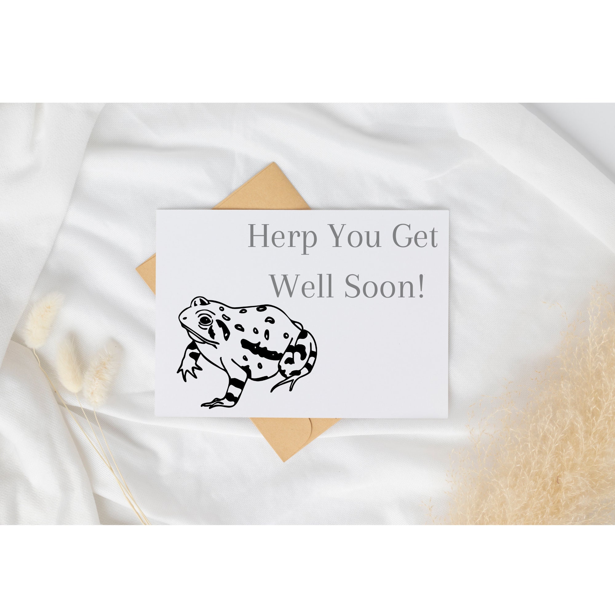 American Toad Bundle Cut Files, Hand Drawn Toad and Toad Silhouette ...