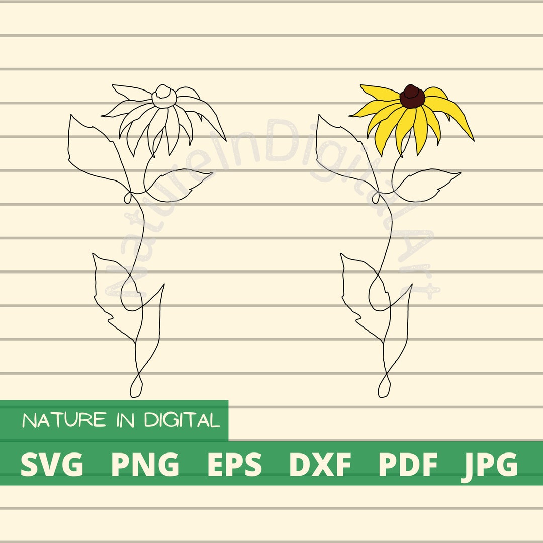 Black Eyed Susan Svg Bundle Hand Drawn Black Eyed Susan Daisy - Etsy