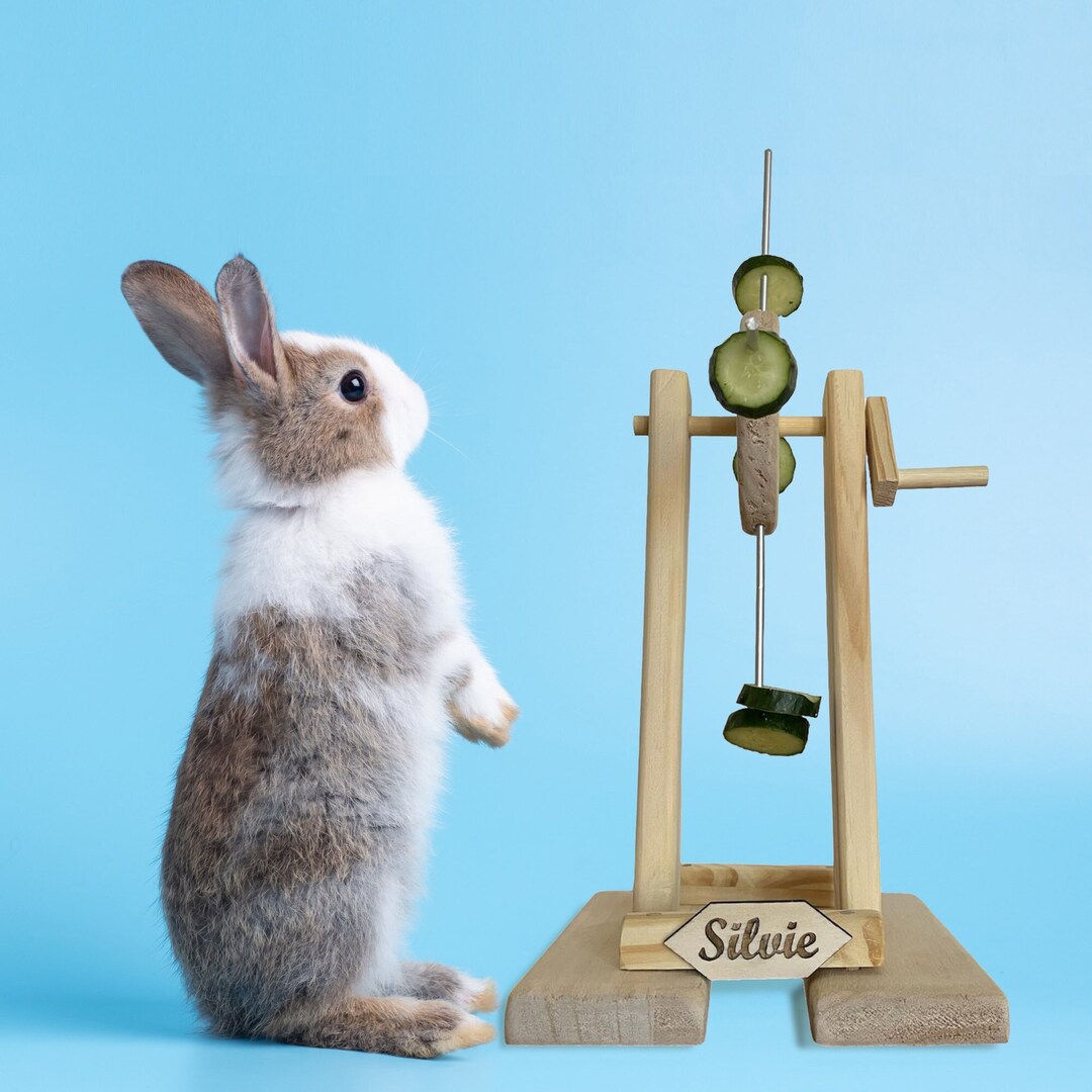 Wooden Rabbit Toy Rotating Feeding Station Rabbit Accessory and Baby ...