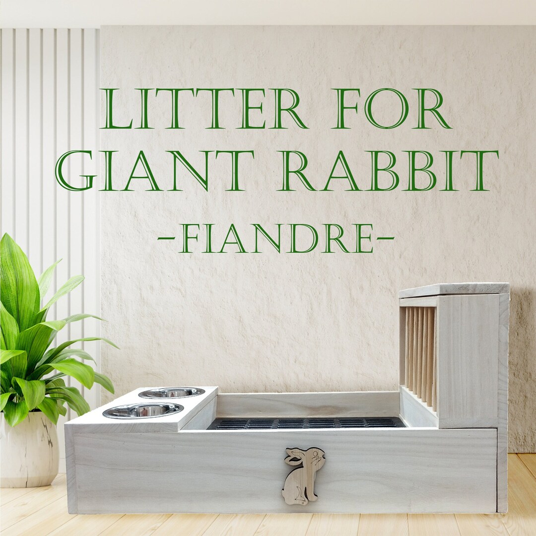 Litter and Hay Feeder With Bowl Holder for Giant Flanders Rabbits, Pied ...