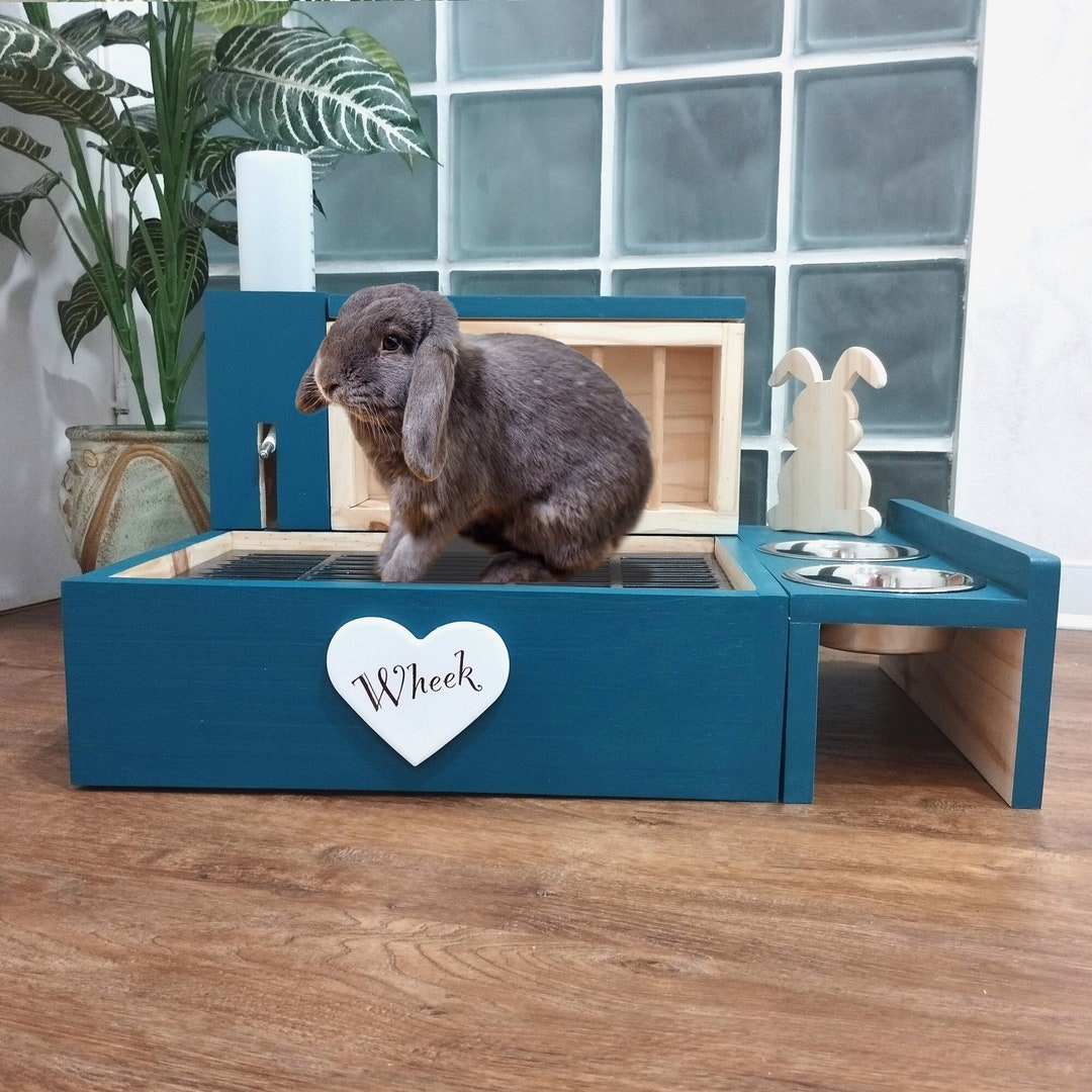 RABBIT FOOD STATION, Best Rabbit Litter, Rabbit Hay Feeder, Hay and ...
