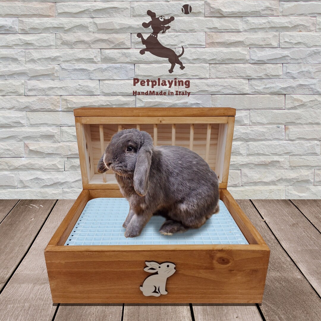 RABBIT FOOD STATION, Best Rabbit Litter, Rabbit Hay Feeder, Litter ...