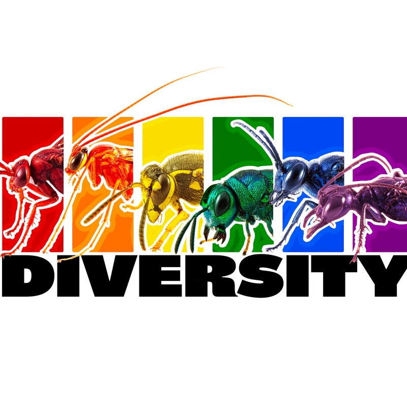 Diversity Poster - Etsy