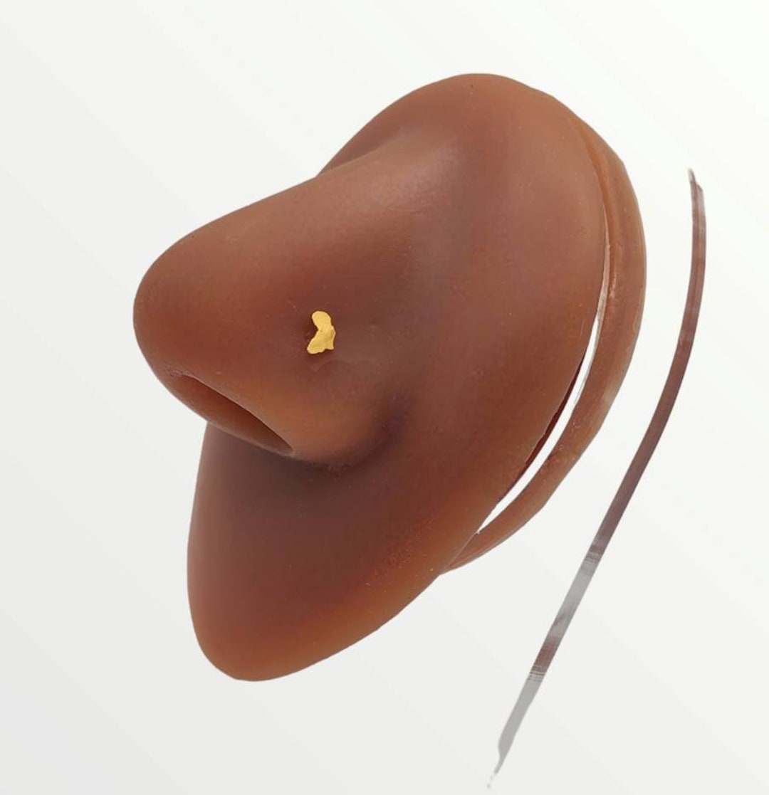 Africa Nose Ring - Etsy