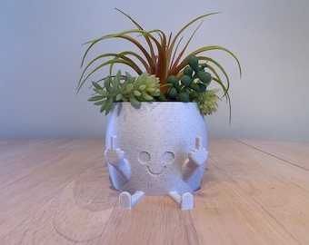 Middle Finger Happy Planter Kawaii Planter Pot With Face, Succulent ...