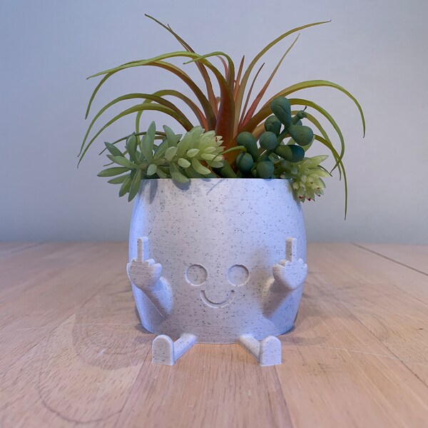Succulent Pots - Etsy