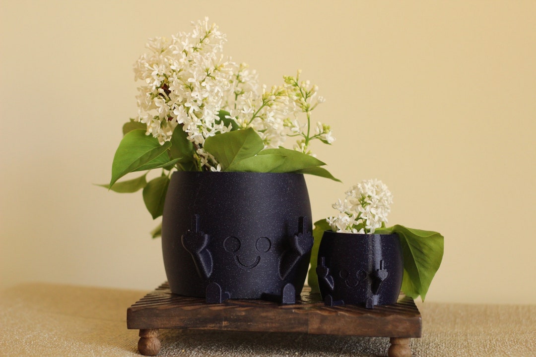 Middle Finger Happy Planter - Succulent Pot - Etsy