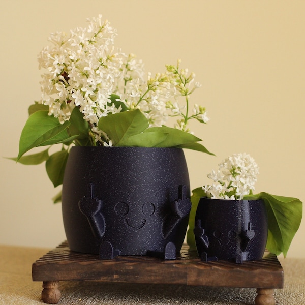 Middle Finger Planter Pot - Etsy