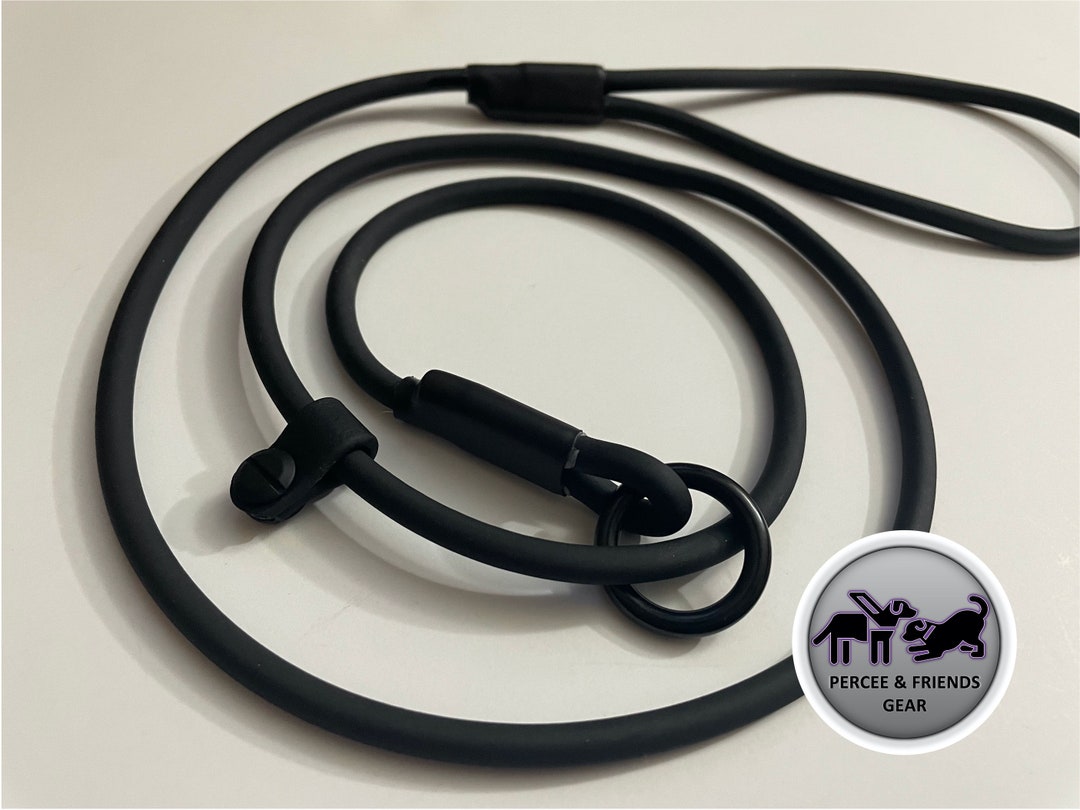 Biothane Rope Slip Lead - Etsy