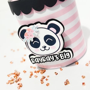 Custom Panda Pringles Favor – Girl Birthday Party Can With Dome Topper ...