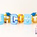 The Simpsons Graduation Party Decor Box – Full Personalized Party Set ...