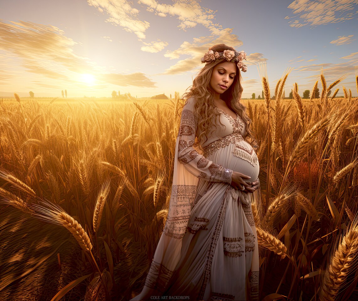 Wheat Fields Set Digital Backdrops, Maternity Backdrop Overlays, Studio ...