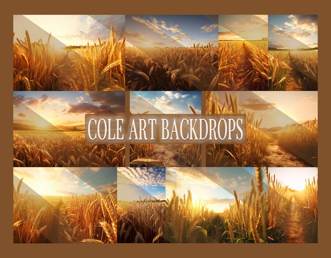 Wheat Fields Set Digital Backdrops, Maternity Backdrop Overlays, Studio ...