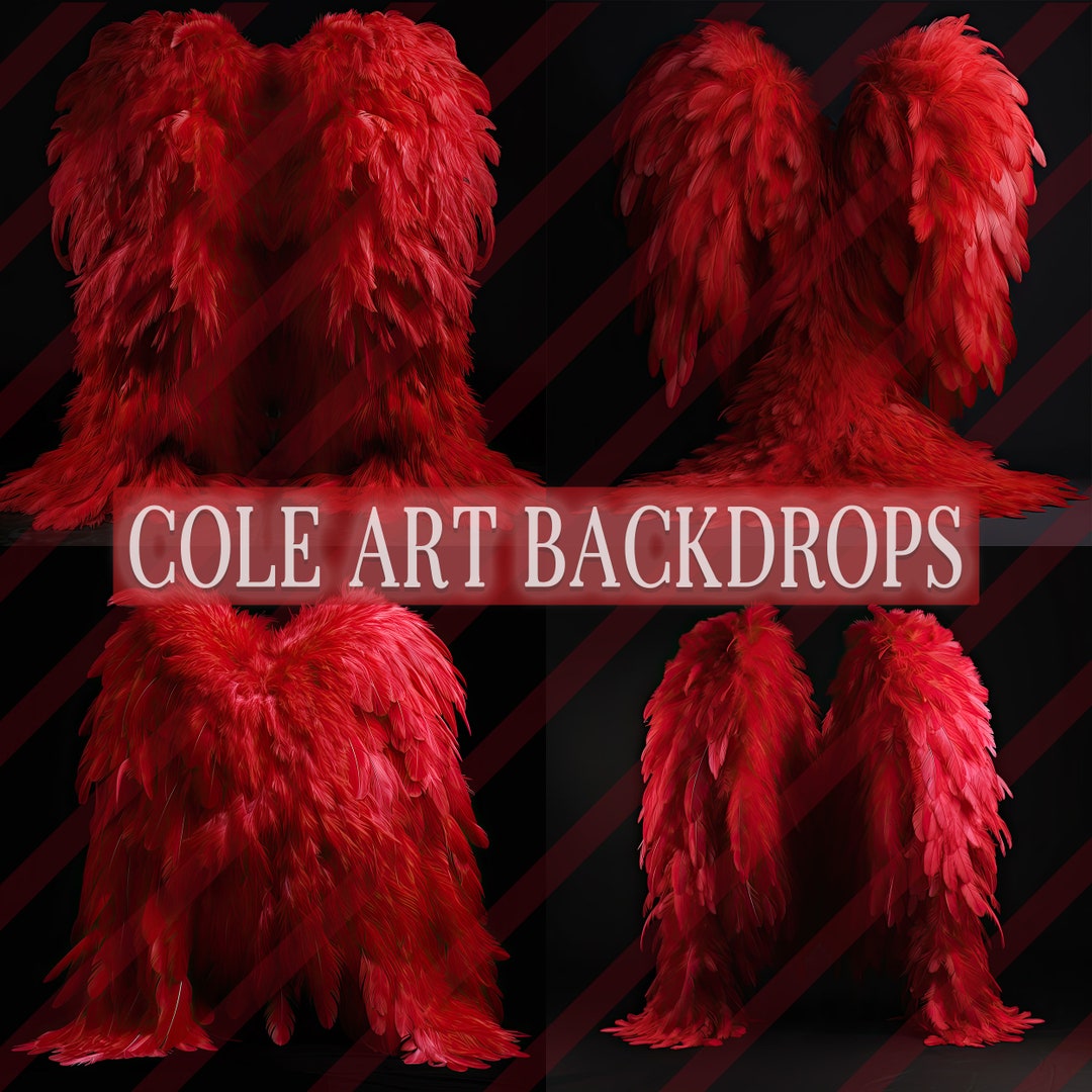 Red Fluffy Angel Wings Overlays, Maternity Backdrop Overlays, Studio ...