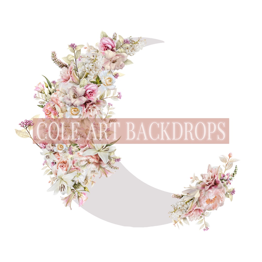 Pink Floral Crescent Moon Overlay, Maternity Backdrop Overlays, Studio ...