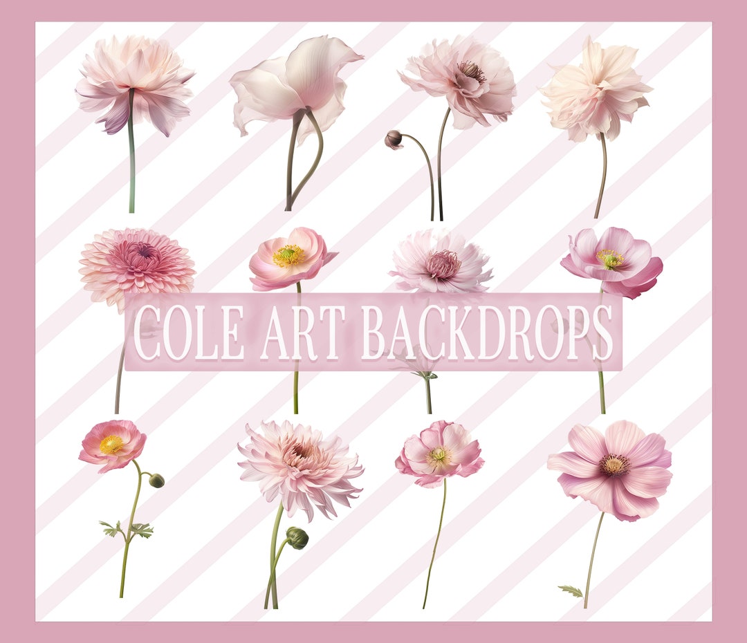 Pink Flower Overlays, Maternity Overlays, Floral Clip Art, Floral ...