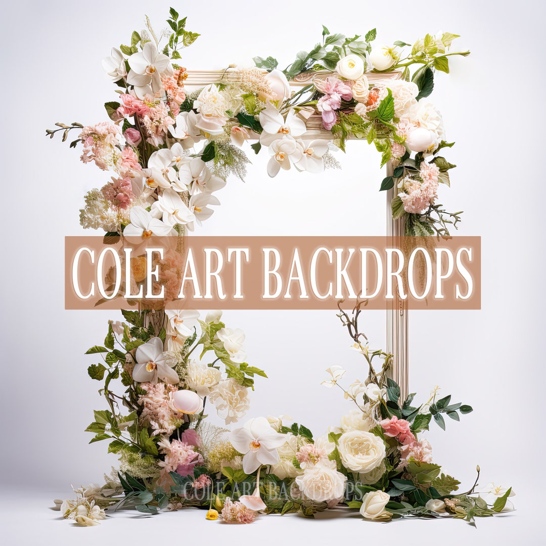 Frame Me Neutrals 6 Printed Backdrop, Fabric Backdrops, Printed Frame ...