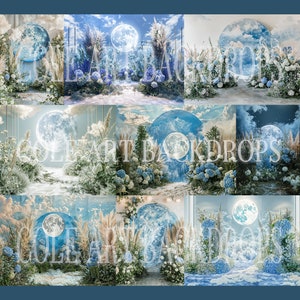 A Little Blue Moon Set Digital Backdrops, Maternity Backdrops, Studio ...