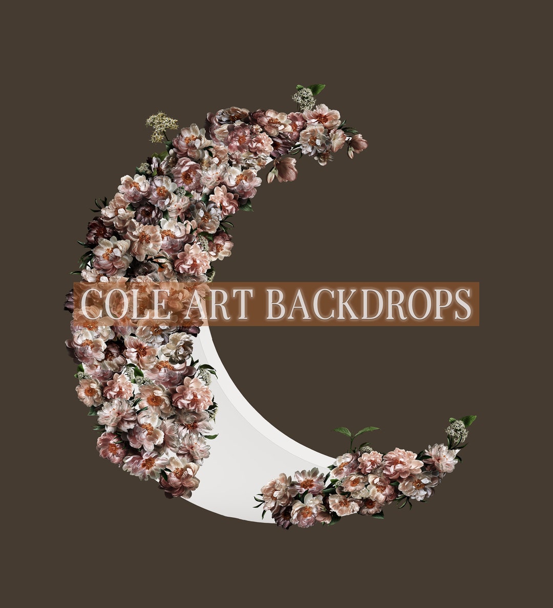 Midnight Crescent Moon Overlay, Maternity Backdrop Overlays, Studio ...