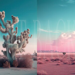 Pink Desert Skies Set Digital Backdrops, Maternity Backdrop Overlays ...