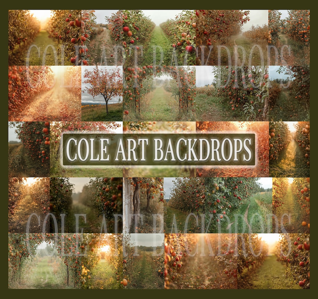 Apple Orchard Set Digital Backdrops, Maternity Backdrops, Digital ...
