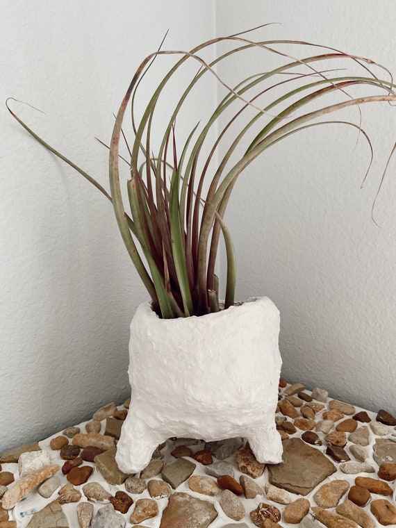 Monolithic Plaster Plant Pot Outdoor & Gardening Planters & Pots Indoor ...