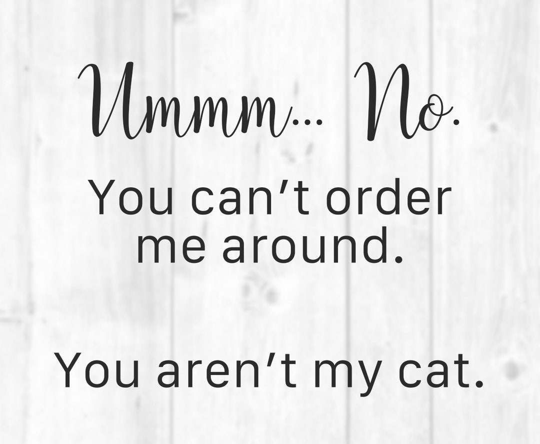 Um No You Can't Order Me Around You Aren't My Cat Funny Cat SVG Design ...