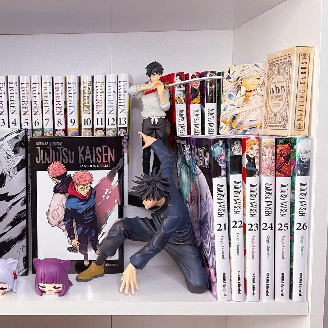 Manga Display Shelf Riser | Comic Organizer for IKEA BILLY, KALLAX ...