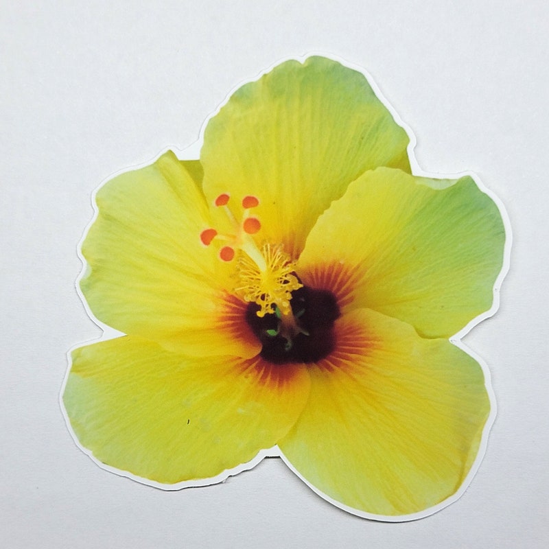 Yellow Stickers - Etsy