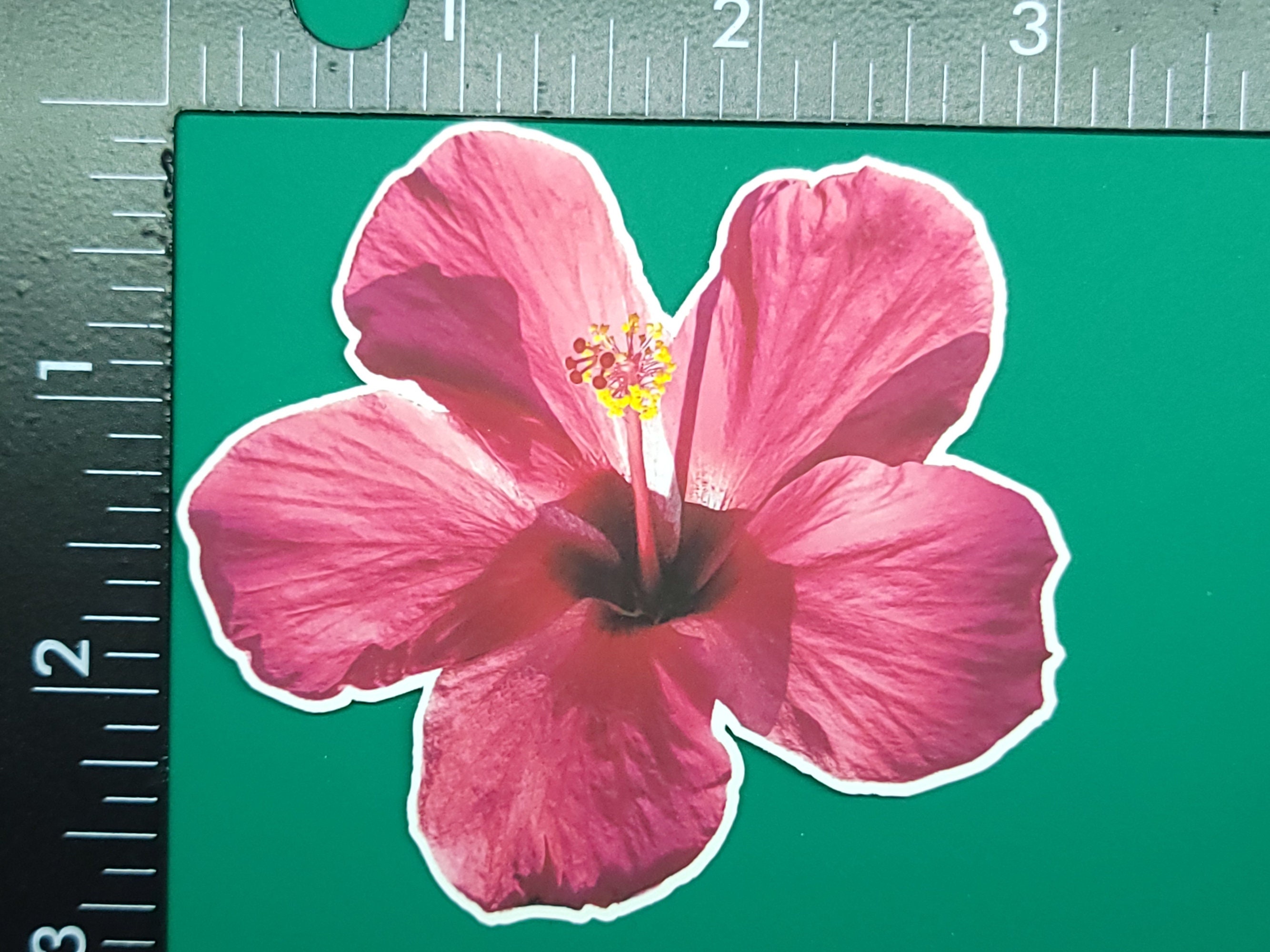 Red Hibiscus Flower - Sticker / Laptop Stickers / Weatherproof Matte ...
