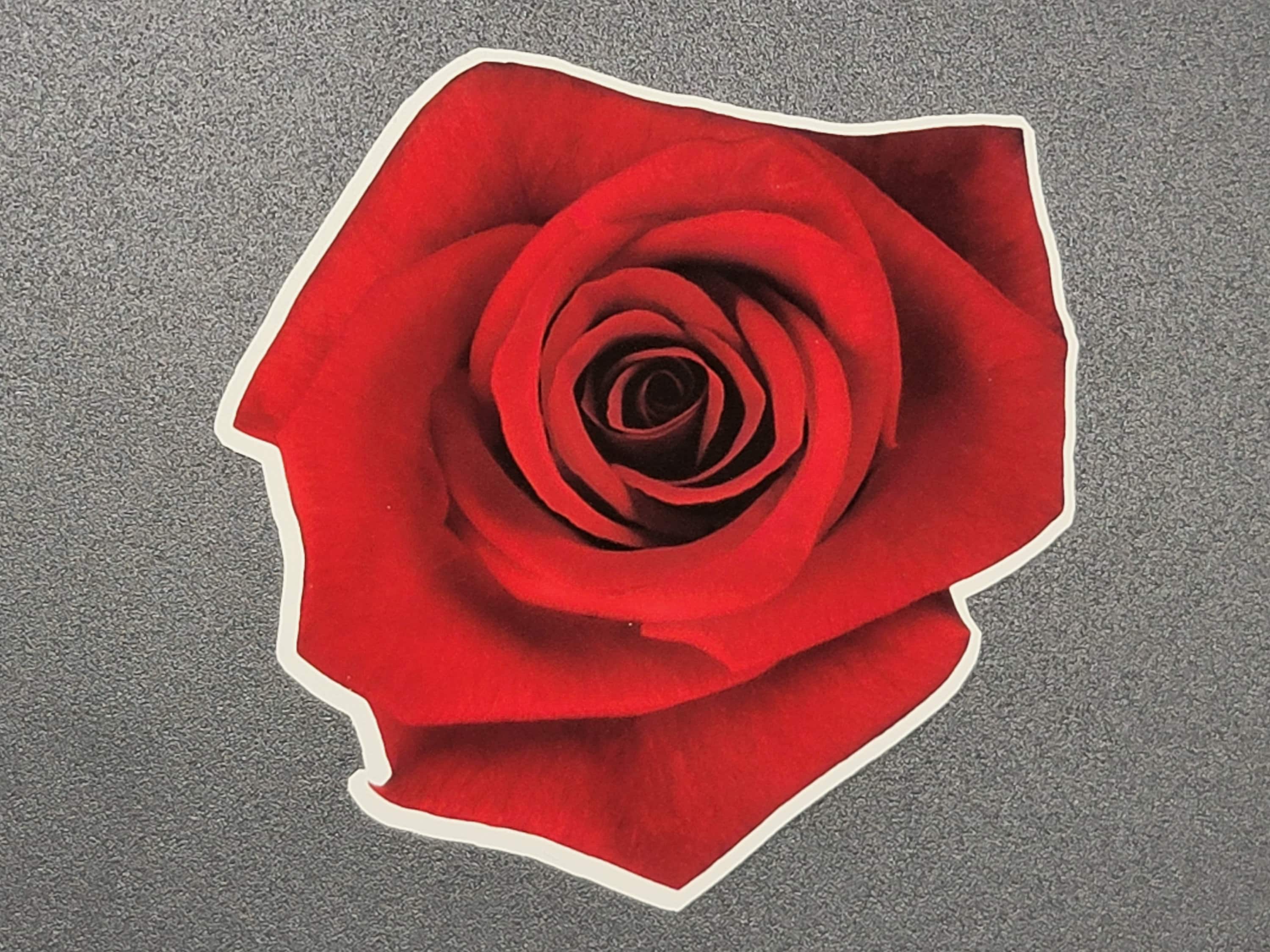 Red Rose Flower Decal/ God's CREATION Sticker /laptop Stickers ...