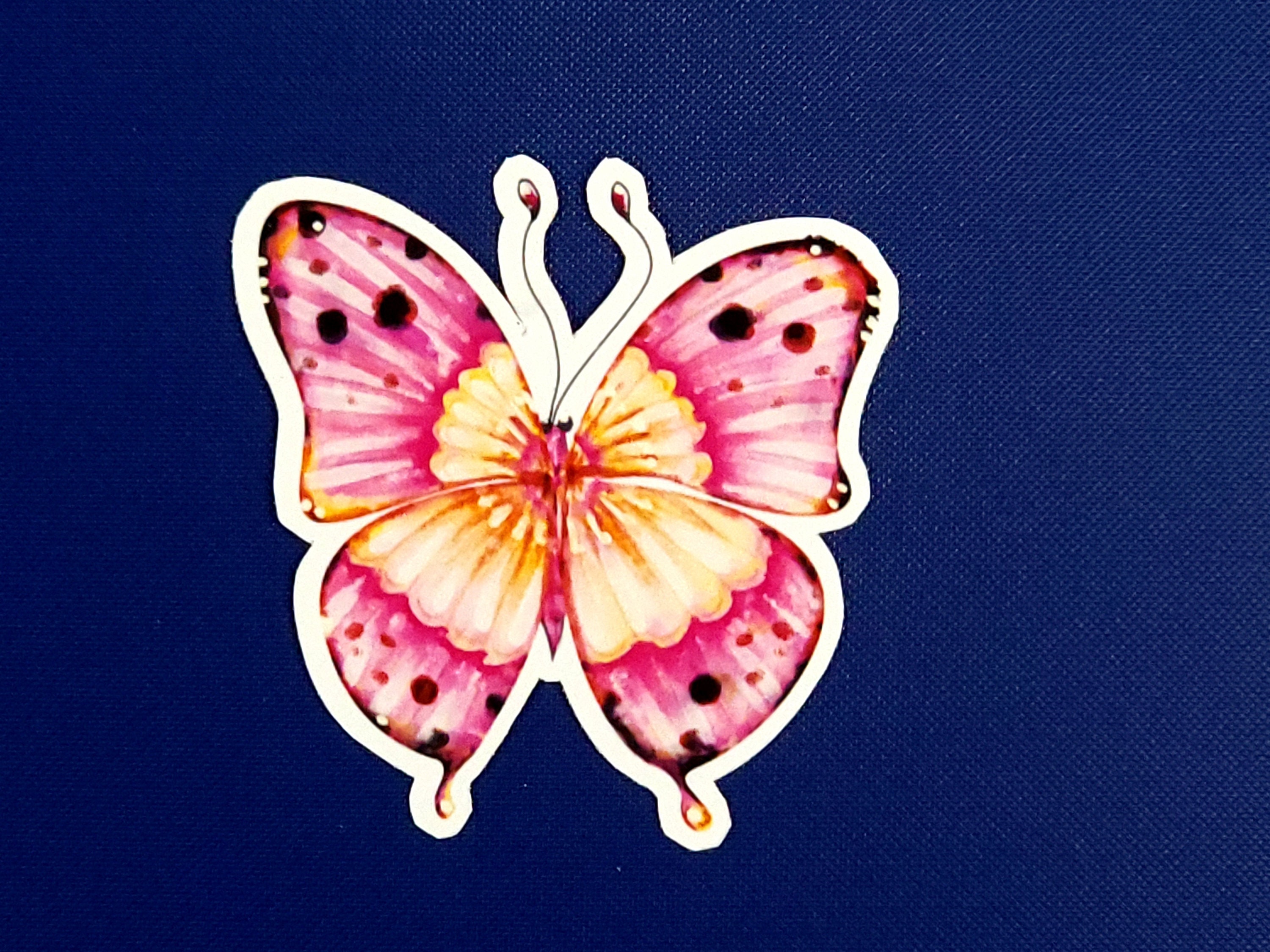 Pink & Peach Butterfly/ God's CREATION Sticker/ Laptop Stickers ...