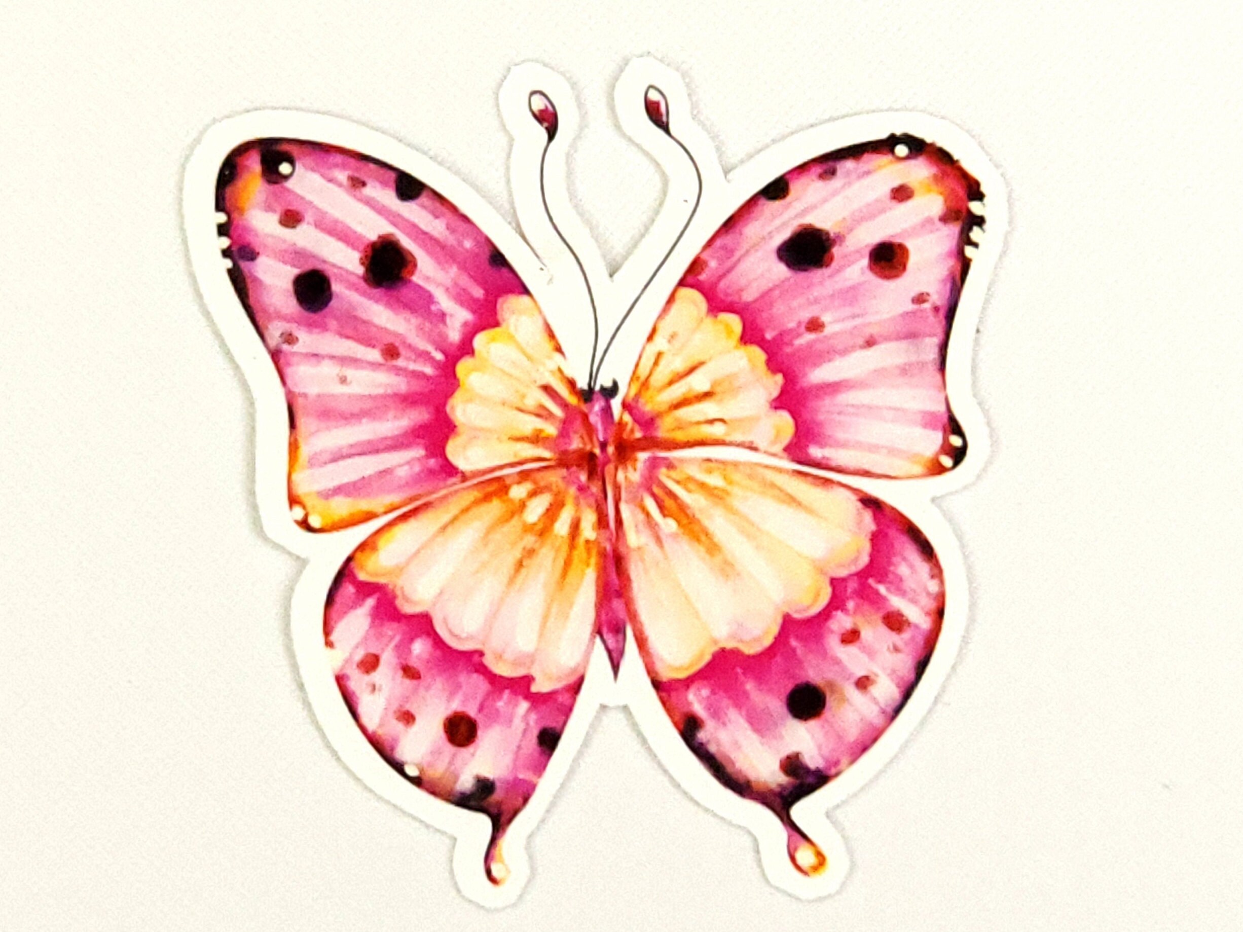 Pink & Peach Butterfly/ God's CREATION Sticker/ Laptop Stickers ...