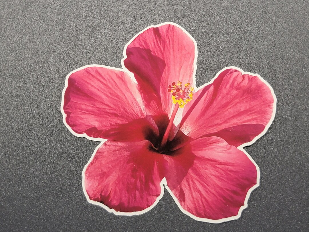 Red Hibiscus Flower - Sticker / Laptop Stickers / Weatherproof Matte ...