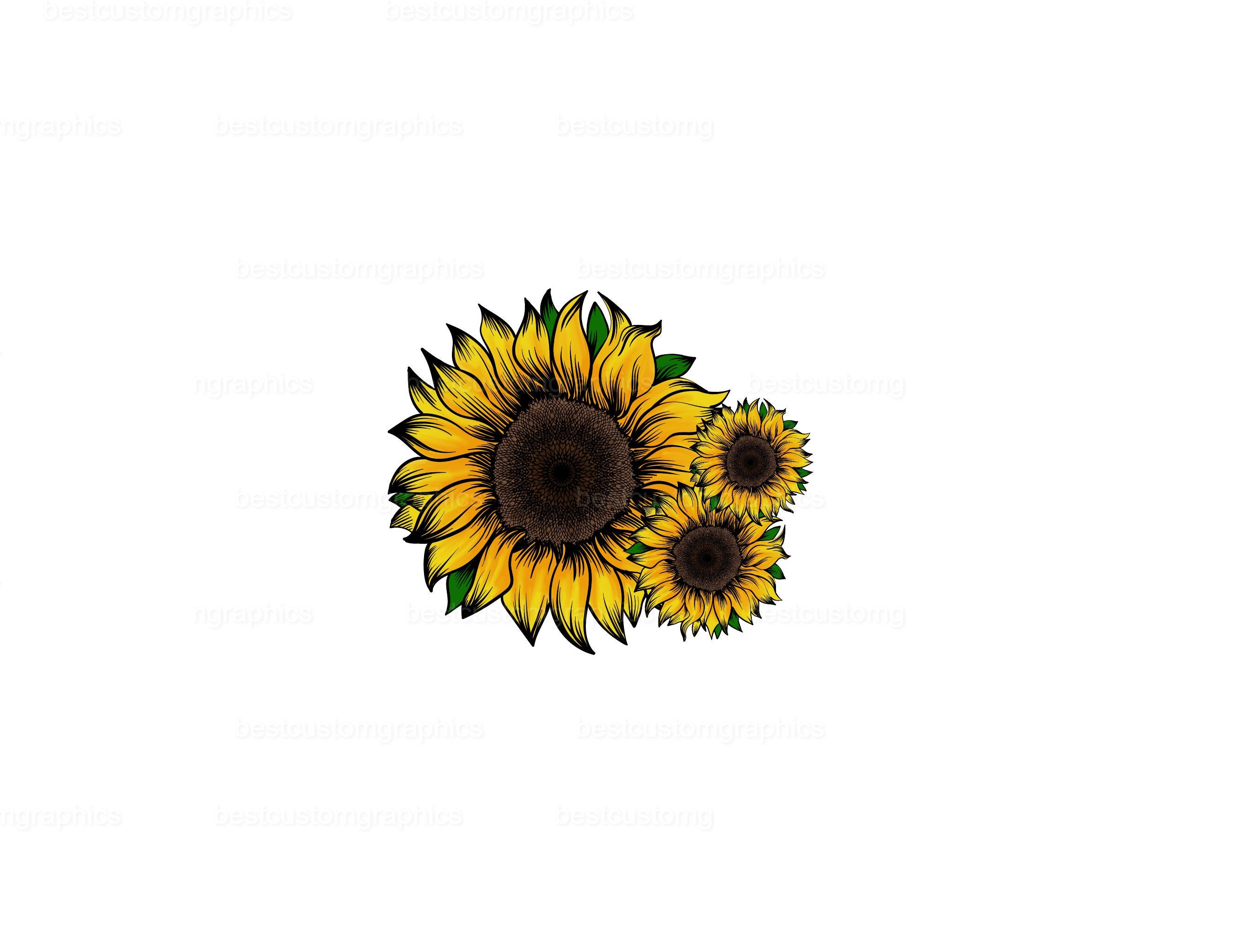 Sunflower Cluster PNG - Etsy