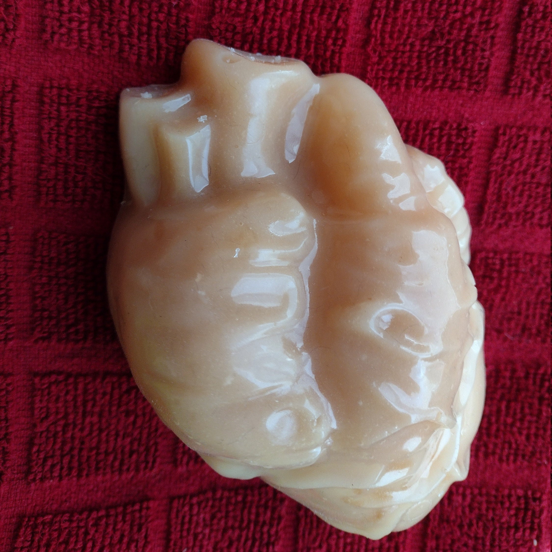 SFX Prosthetic Prop Gelatin Human Heart - Etsy