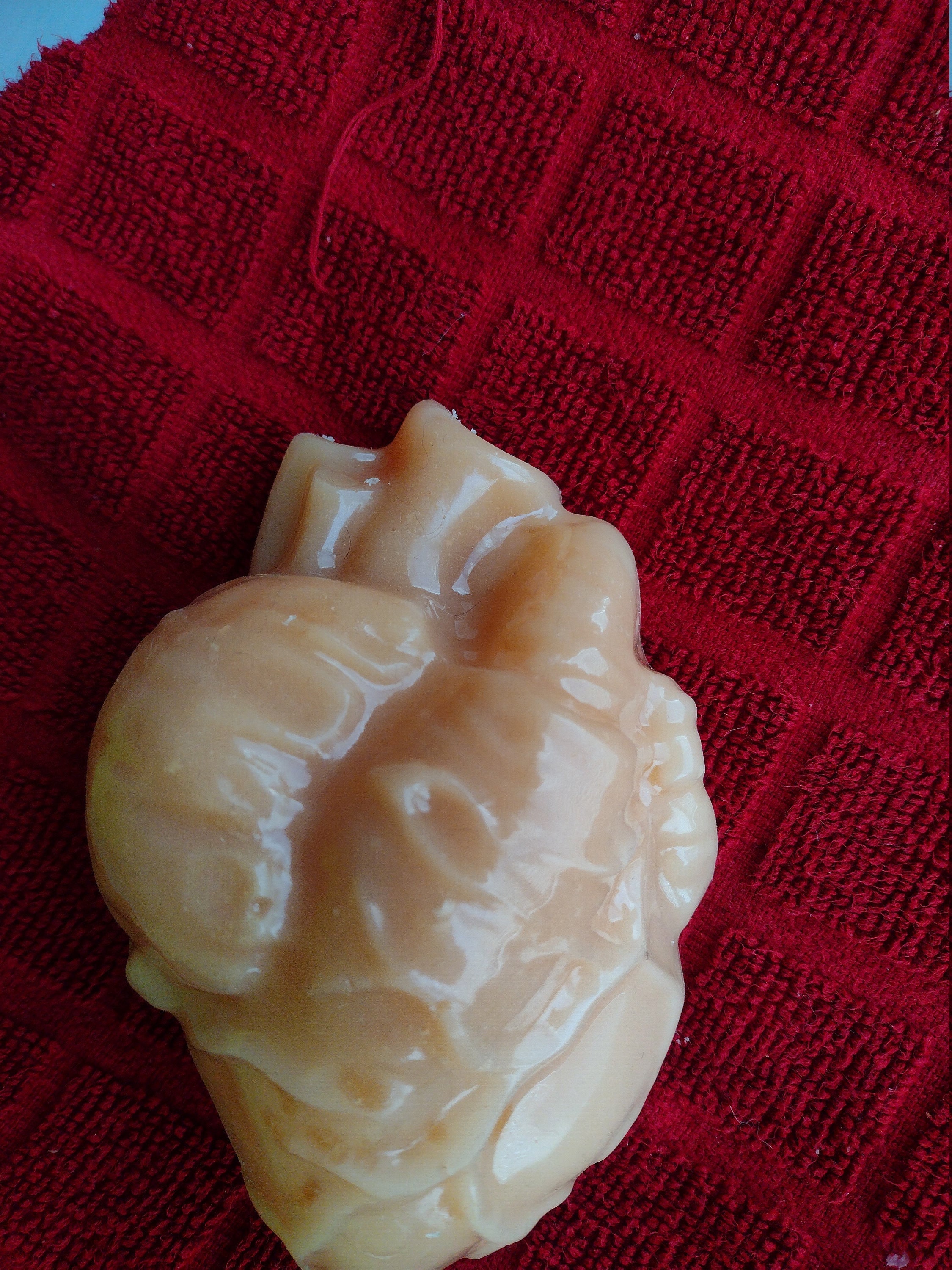 SFX Prosthetic Prop Gelatin Human Heart - Etsy