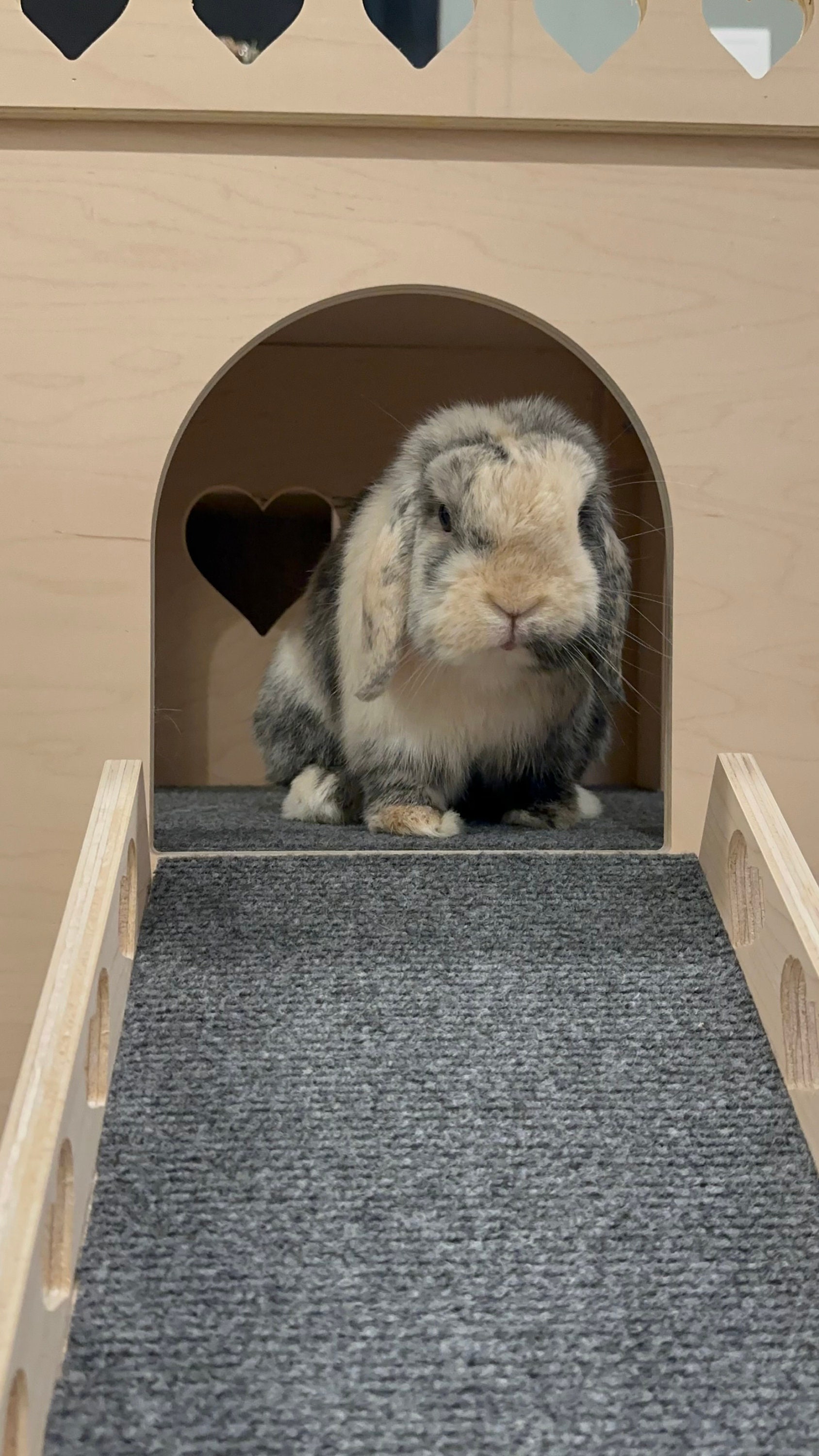 Large Complete Bunny Castle - Etsy