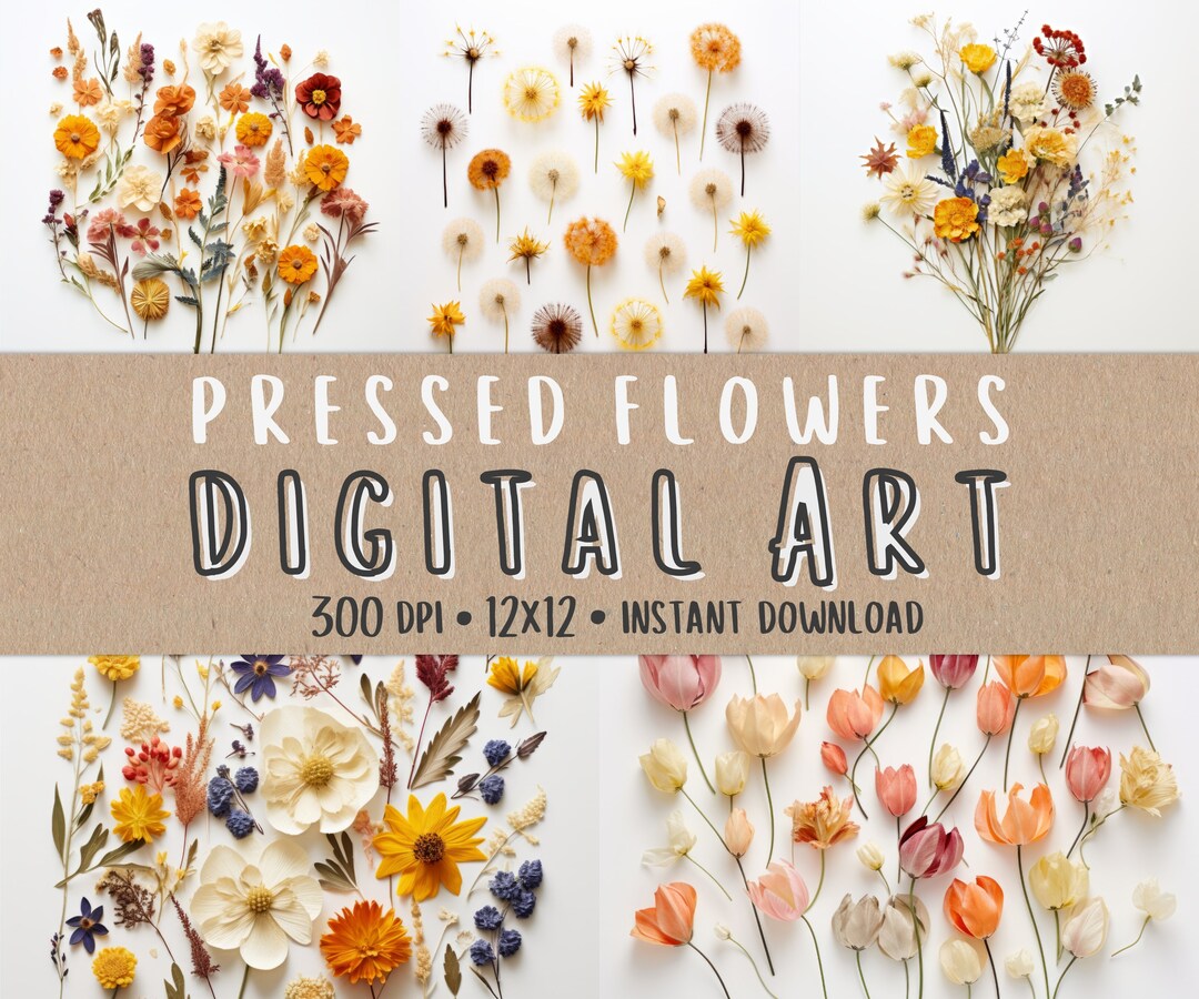 Pressed Flowers Digital Art Pack, Dried Flowers Seamless Pattern ...