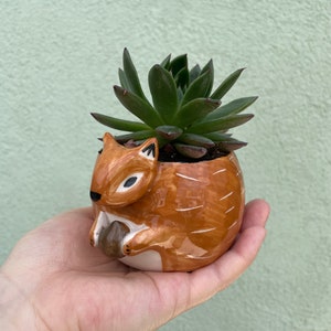 Set of 4 Ceramic Animal Succulent Pots - Handmade Decorative Pots ...