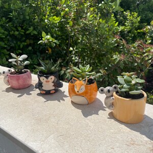 Set of 4 Ceramic Animal Succulent Pots - Handmade Decorative Pots ...