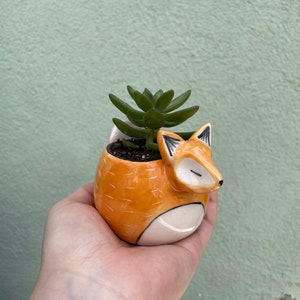 Set of 4 Ceramic Animal Succulent Pots - Handmade Decorative Pots ...