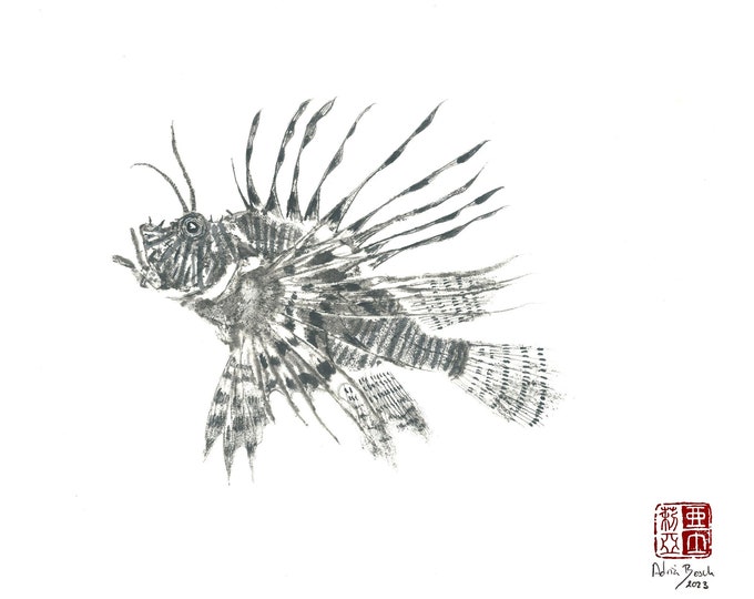 Hawaiian Uhu Parrotfish Color - Gyotaku Reproduction Print ...