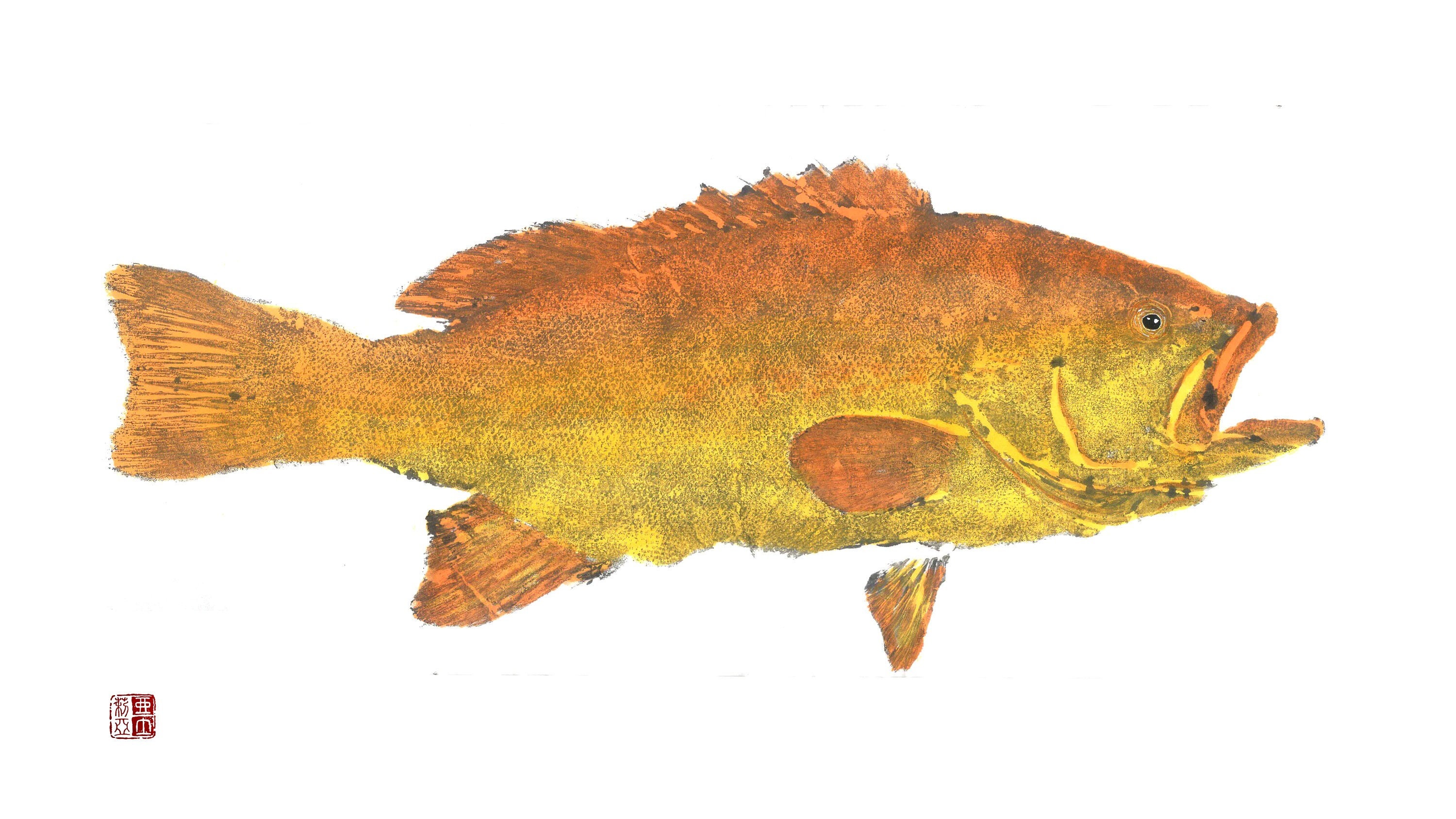 Golden Grouper