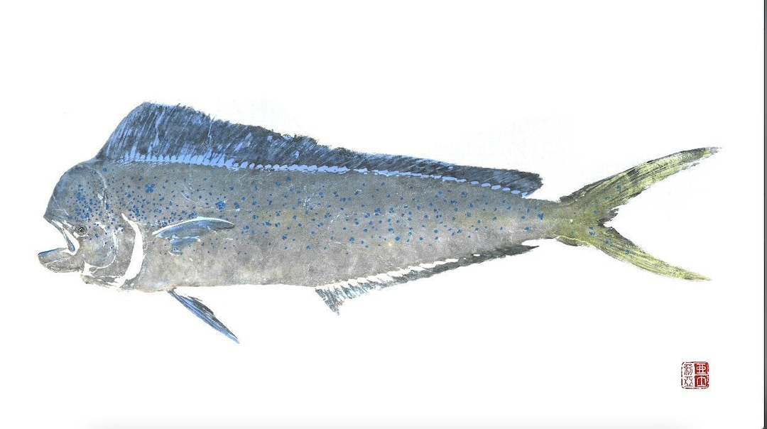 Blue Mahi Mahi Gyotaku Print - Coryphaena Hippurus by Adrià Bosch - Etsy