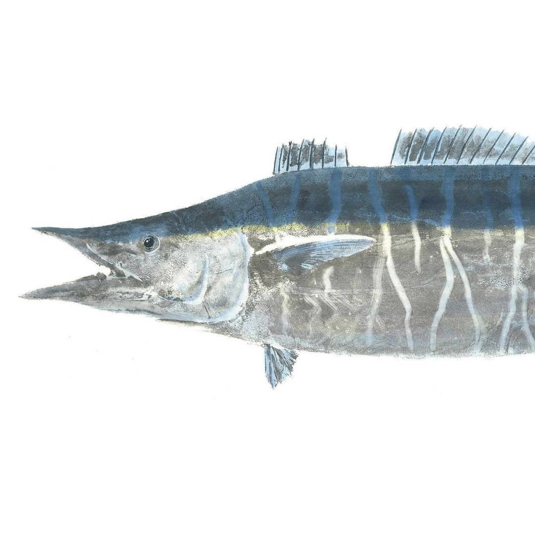 Lámina Wahoo (ono) Gyotaku De Adrià Bosch - Acanthocybium Solandri - Etsy