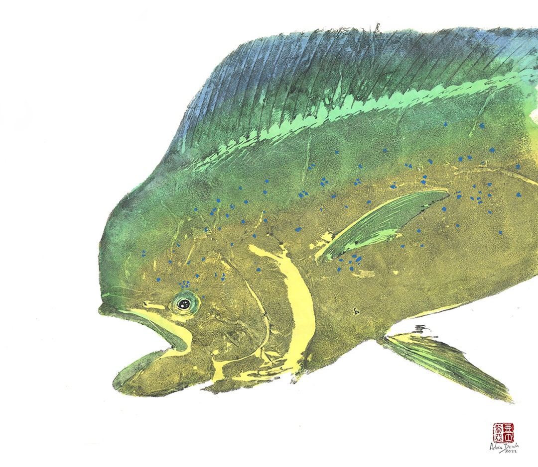 Half Colored Mahi Mahi Gytoaku Print by Adrià Bosch - Coryphaena ...