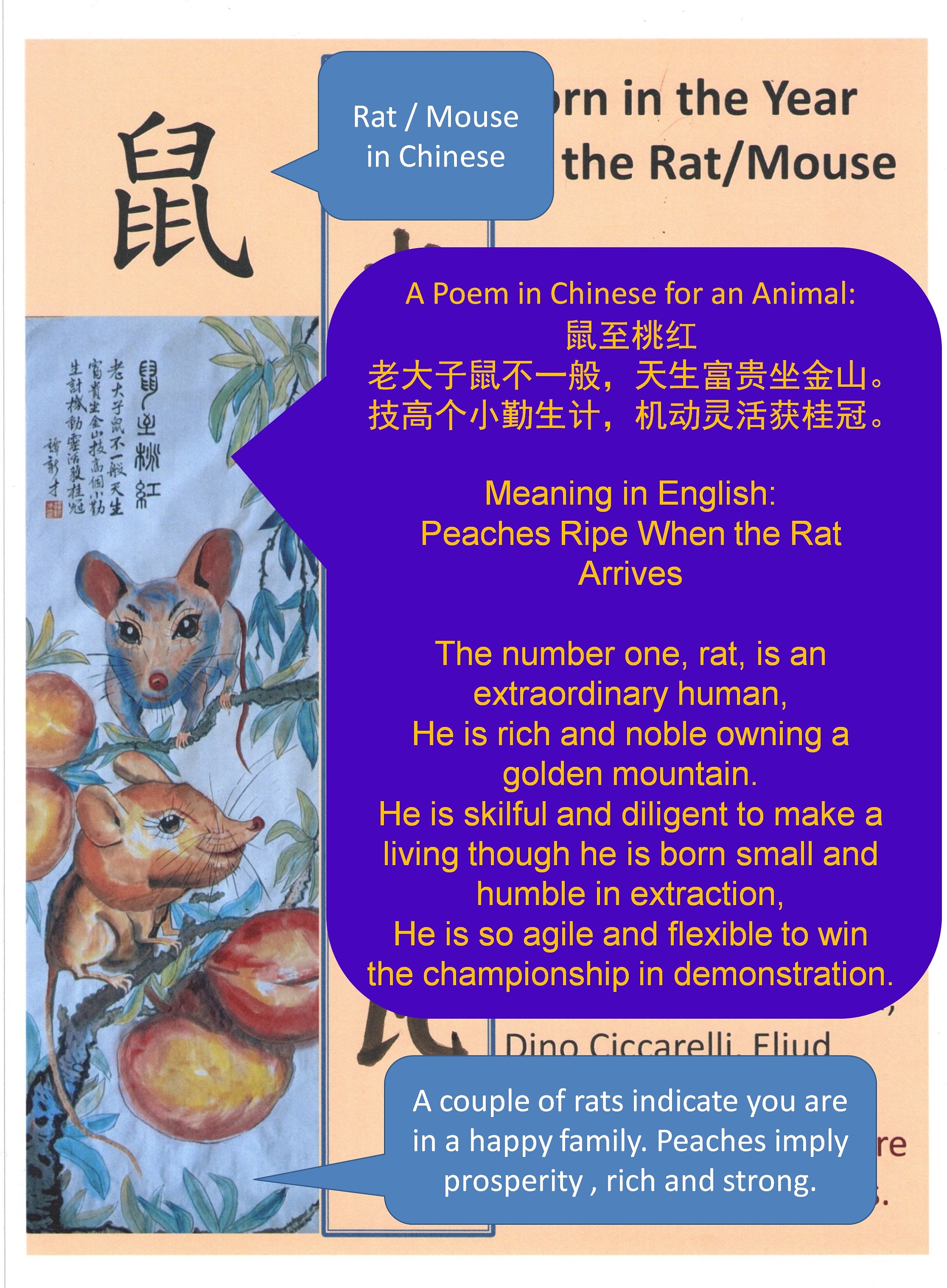 Your Chinese Zodiac & Hand-written Name, Fine Painting, Poem, Astrology ...