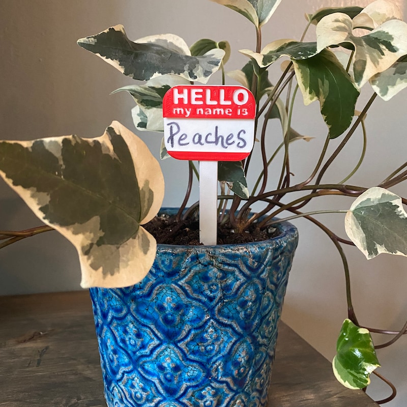 Plant Name Tags - Etsy